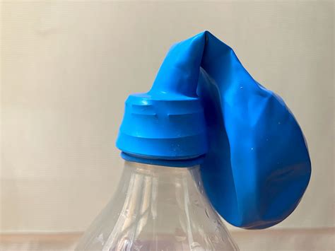 Experiment Yeasty Beasties