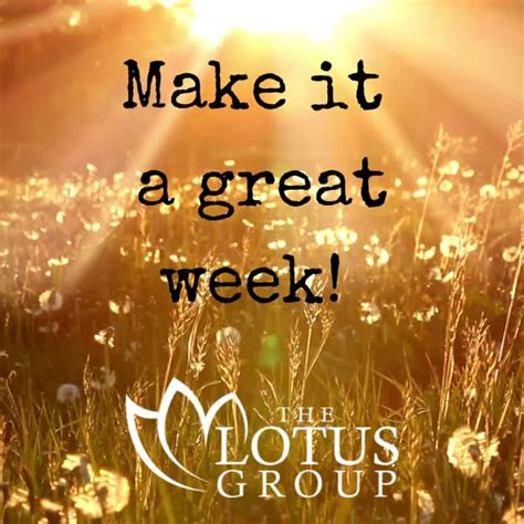 The Lotus Group Llc On Linkedin Jsm Jsm2023 Biostatistics Biostatistician Statistics