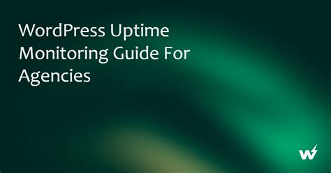 Wordpress Uptime Monitoring Guide For Agencies Instawp