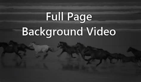 Create A Full Page Video Background With CSS Designbeep