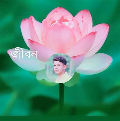 Md Jibon