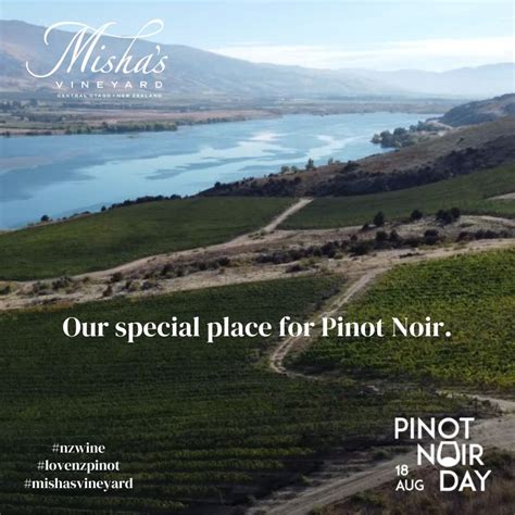 Nzwine Lovenzpinot Mishasvineyard Centralotagowine Pinotcentral