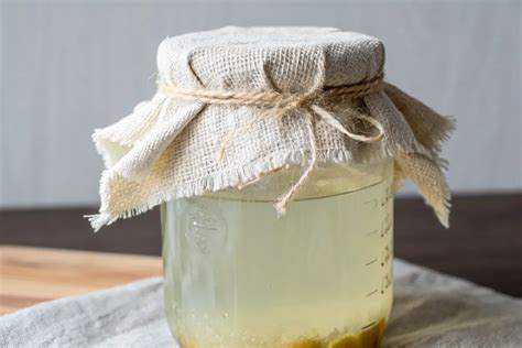 Ginger Bug Recipe Start Your Own Natural Ferment At Home