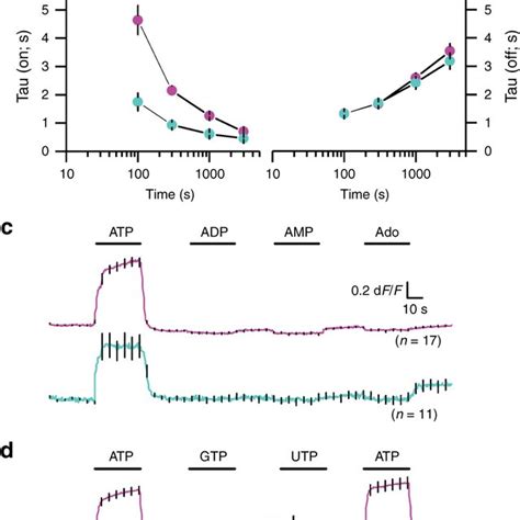 Assessment Of The Kinetics And Ligand Selectivity Of Cell Surface Atp