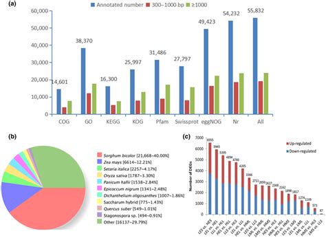 Transcriptome Sequencing Annotation And Identification Of
