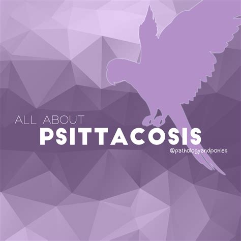 Psittacosis Pathology And Ponies