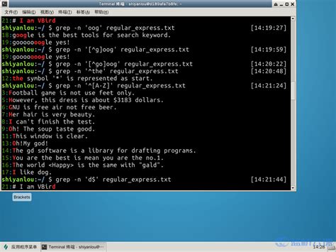 grep命令与正则表达式 蓝桥云课