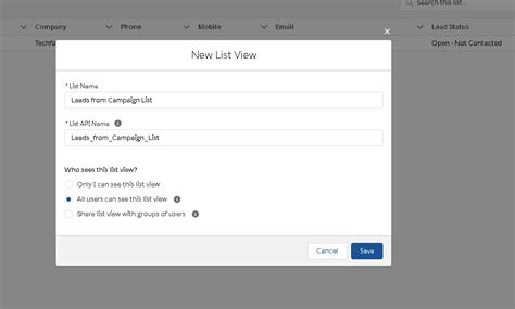 Create Salesforce Lead List View With Filter By Campaign In Lightning Experience