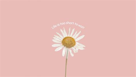 Python Coding Wallpapers 4k Hd Python Coding Backgrounds On Wallpaperbat Python Coding Wallpapers 4k Hd Python Coding Backgrounds On Wallpaperbat