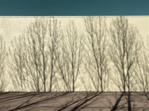 Block Building Warehouse Wall Parking Lot Tree Shadows Sunny Sunlight Block Building Warehouse Wall Parking Lot Tree Shadows Sunny Sunlight