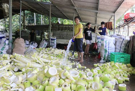 Lào Cai Khơi Dậy Tiềm Năng Phát Triển Sau Sáp Nhập Báo ảnh Dân Tộc Và Miền Núi