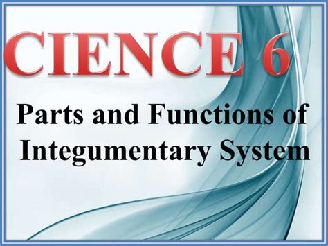 Intergumentary Systempptx