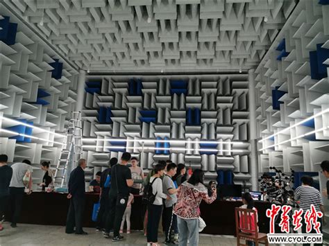 中青在线：中科院声学所“开门迎客”：神奇的声音世界 中国科学院声学研究所