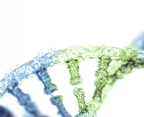 Exome And Targeted Sequencing Discovery Life Sciences