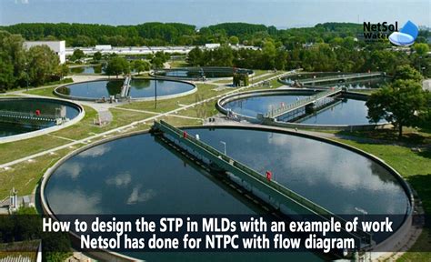 How To Design The Stp In Mlds With An Example Of Work Netsol
