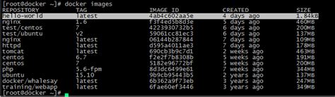 Docker的安装和使用及dockerfile简单使用from Centos 67 Dockerfile Csdn博客