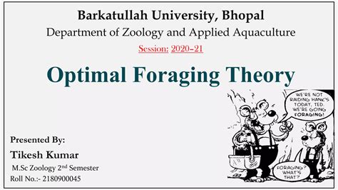 optimal foraging theory oft pdf beekeeping hobbies and interests
