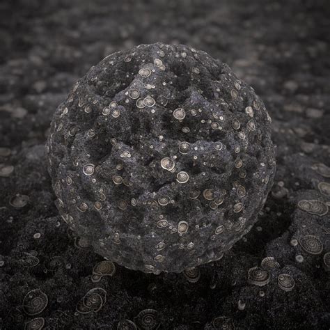 Shell Soil Pbr Texture By Valetovskaia