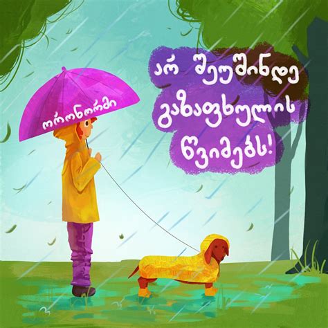 Oronorm • ორონორმი Tbilisi