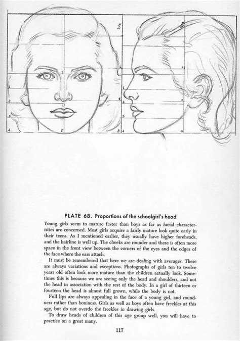 Client Challenge Female Head Anatomy Reference Female Head Anatomy