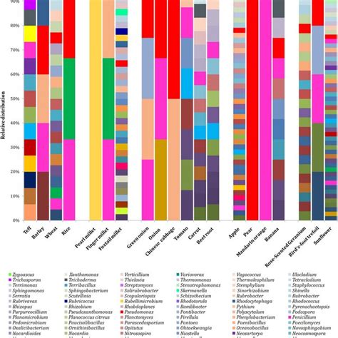 Phylogenetic Tree Showed The Relationship Among Different Pgp Microbes Download Scientific