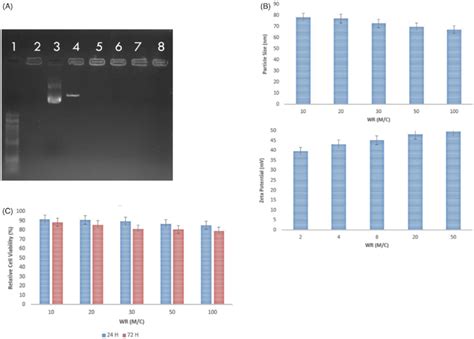 A Gel Electrophoresis B Particle Size And Zeta Potential And C