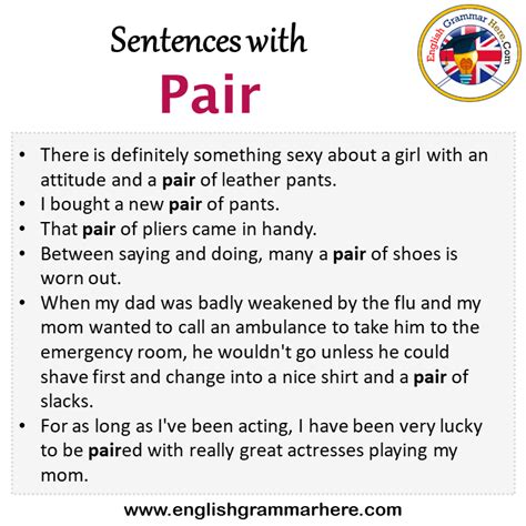Sentences With Pair Pair In A Sentence In English Sentences For Pair