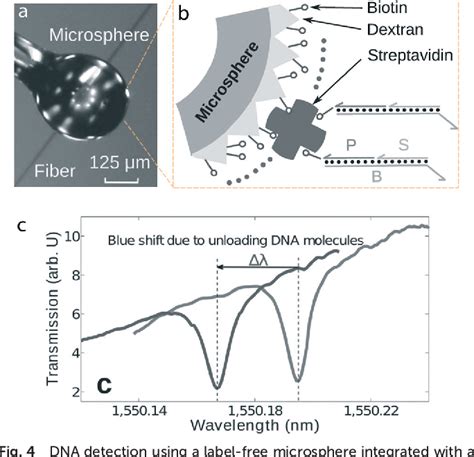 figure 1 from oligonucleotide based label free detection with optical