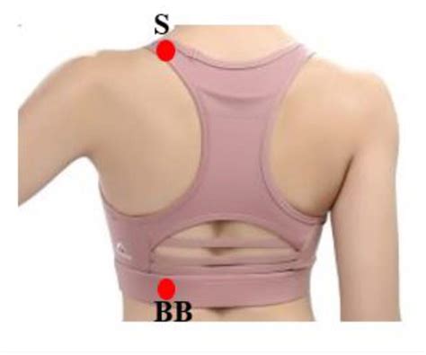 Detected Positions Used In Pressure The Test Download Scientific Diagram