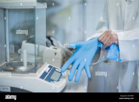 Scientist In Lab Putting On Latex Gloves Stock Photo Alamy