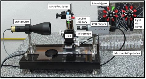 Artificial Human Gastrointestinal Fluids At Rosalie Eadie Blog