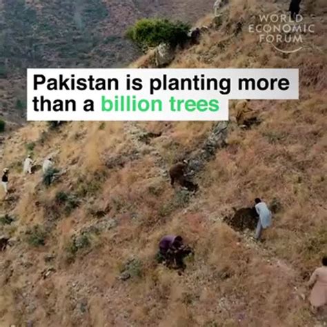 Mohsin Ali Posted On Linkedin