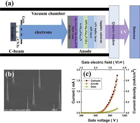 Duv Generation With A Carbon Nanotube Cold Cathode Based Electron Beam