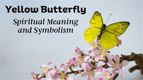 Yellow Butterfly Spiritual Meaning And Symbolism Explained
