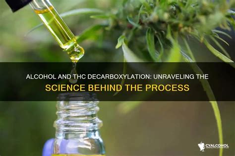 Alcohol And Thc Decarboxylation Unraveling The Science Behind The