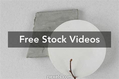 Twig Structure Videos Download The Best Free 4k Stock Video Footage