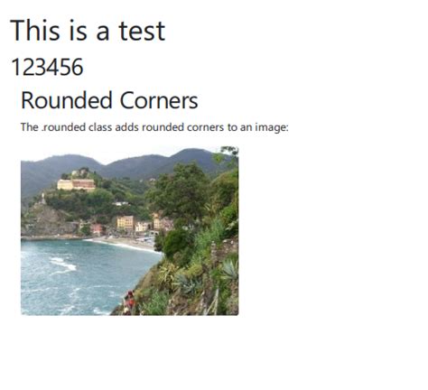Not Render Images And Css In Docker Container With Asp Net Core Issue Fpanaccia