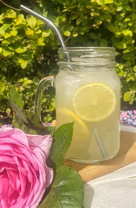 Homemade Ginger Lemonade Avo Feast