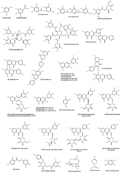 Structure Of Some Selected Phytochemicals From Rhus Coriaria Download