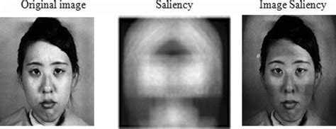 Example Of Original Saliency And Image Saliency Of Jaffe Dataset Download Scientific Diagram