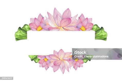 분홍색 연꽃 새싹 꽃 잎 직사각형 프레임 배경에 고립되어 있습니다 수채화 그림입니다 Blank 디자인 장식 및 인쇄 타이포그래피 및 엽서용 0명에 대한 스톡 벡터 아트 및