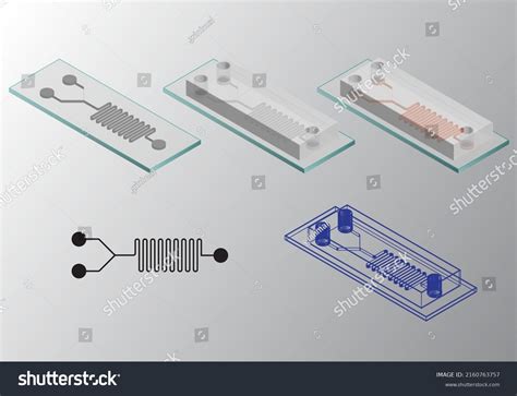 1 Microfluidic Chip Design Stock Vectors And Vector Art Shutterstock 1 Microfluidic Chip Design Stock Vectors And Vector Art Shutterstock