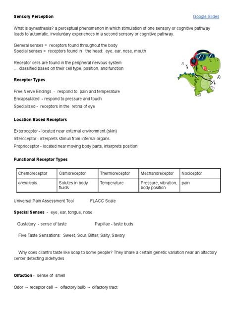 ch 14 sensory perception notes pdf senses ear