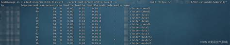 elasticsearch 8查看集群、节点状态 查看es集群节点 csdn博客