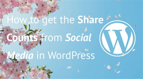 How To Create A Wordpress Widget With Reactjs And Rest Api Igor Benić