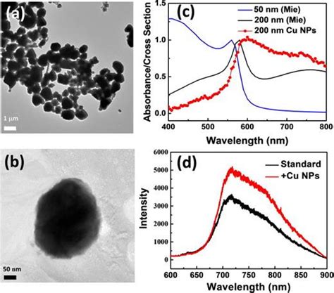 Plasmonic Effects Of Copper Nanoparticles In Polymer Photovoltaic Devices For Outdoor And Indoor