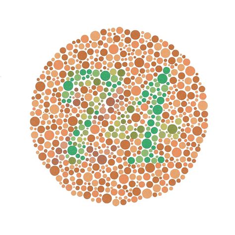 Adobe Photoshop How To Place Different Sized Circles Inside A Shape
