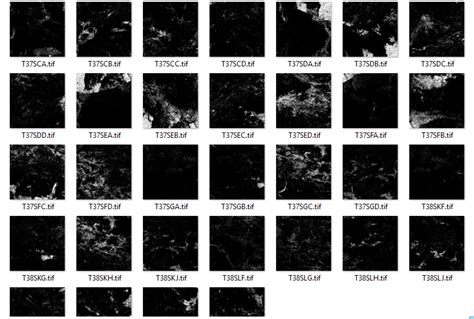 Rasterio Does Not Merge Correctly Geographic Information Systems