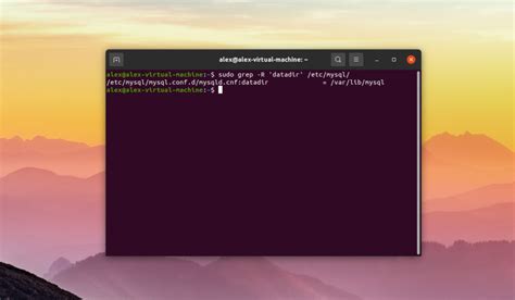 Cómo Ver Dónde Se Almacenan Los Archivos De Base De Datos En Mysql Dbms