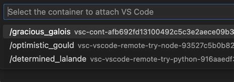Attach To Running Container Sort Containers By Name Issue Microsoft Vscode Remote